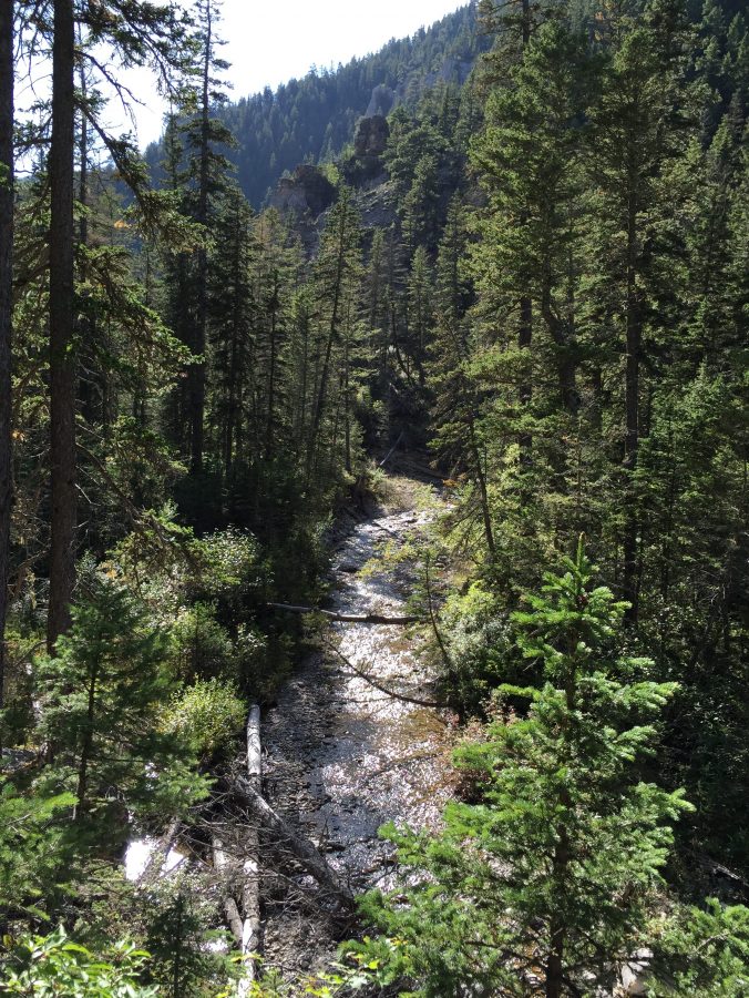Judith Basin Back Country Horsemen