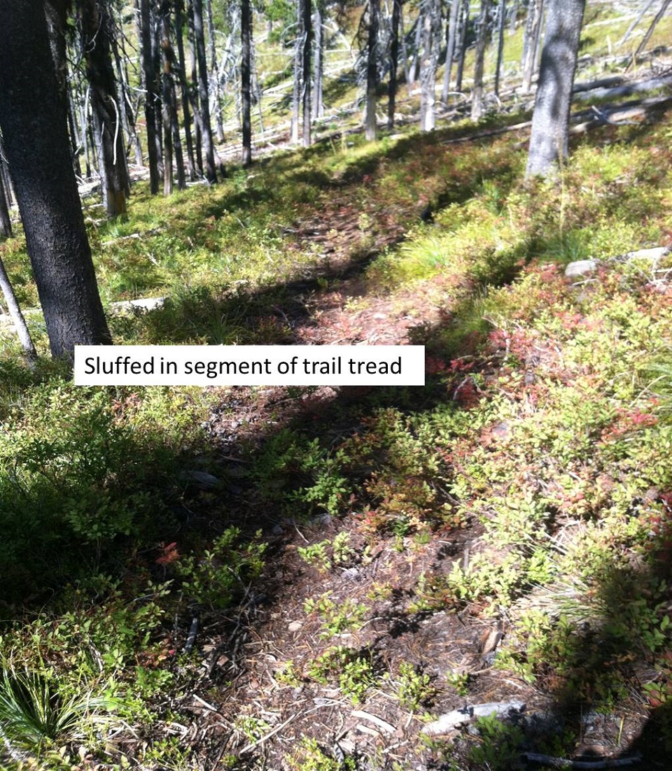 Photos - Wild Horse Plains Back Country Horsemen