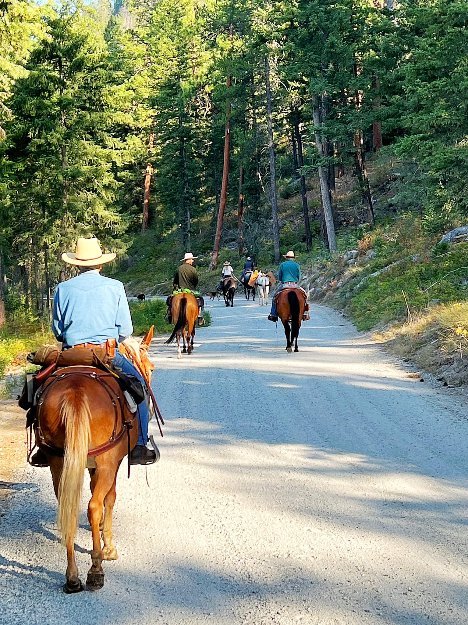 Trail Work | Selway-Pintler Wilderness Back Country Horsemen